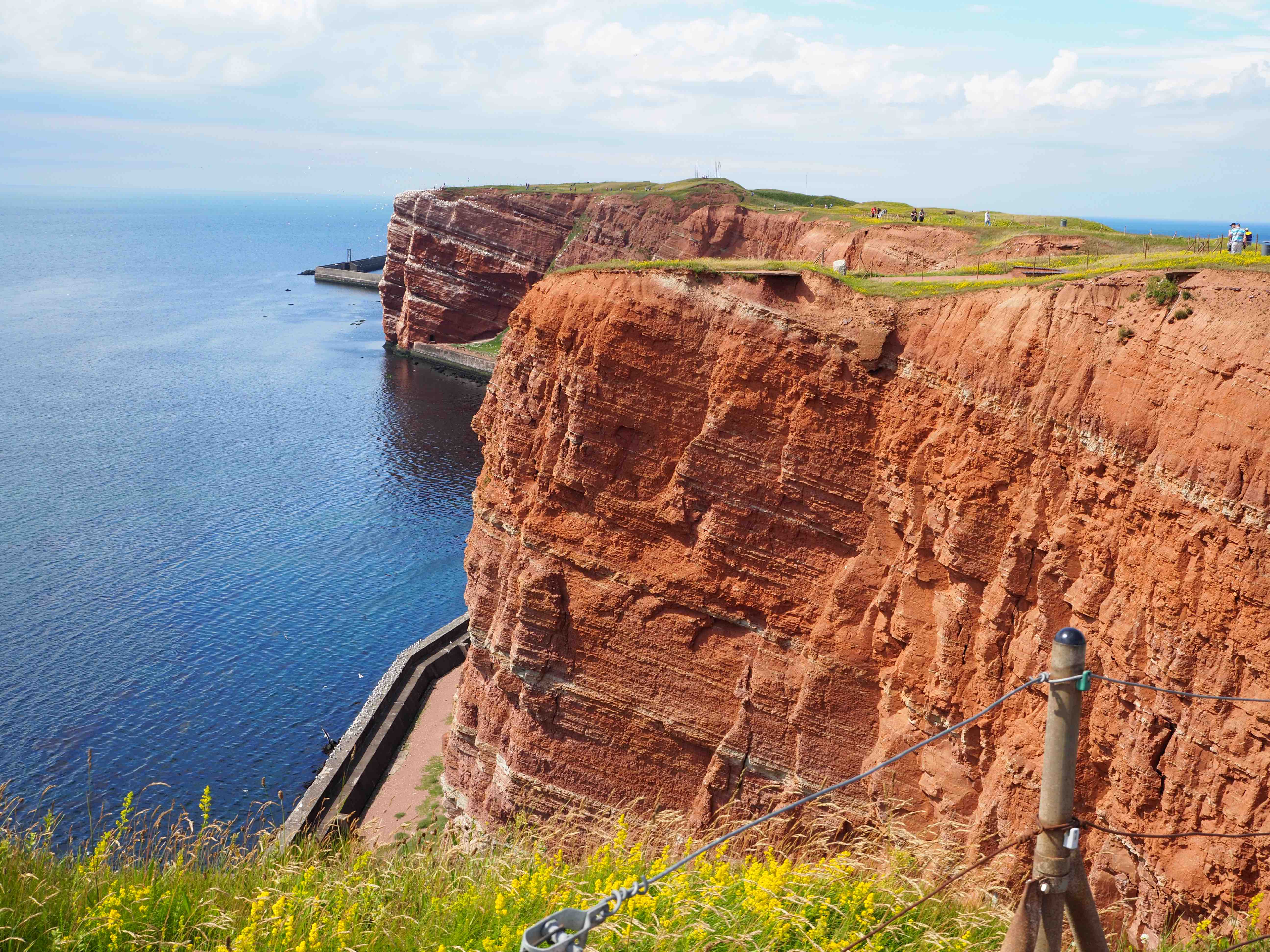 Sommerreise zum Limfjord